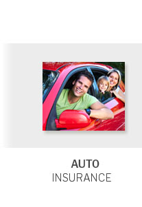 Cover Wallet Insurance 👪 Nov 2025